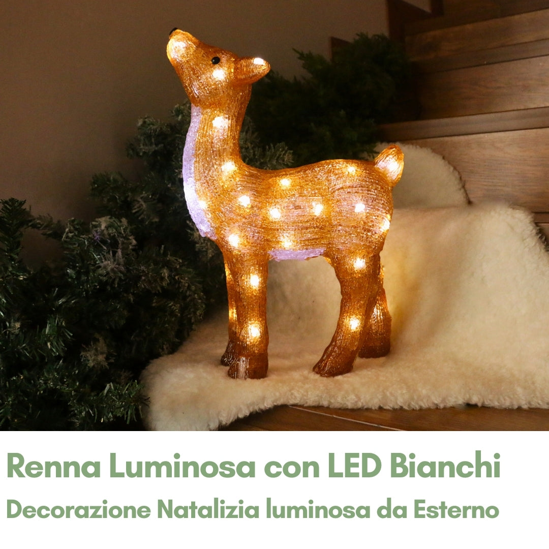 Renna Luminosa con LED Bianchi - Decorazione Natalizia Colorata per ...