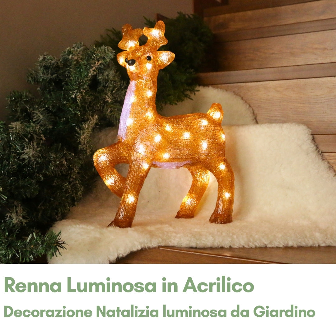 Renna Luminosa in Acrilico con LED - Decorazione Natalizia per Giardino ...