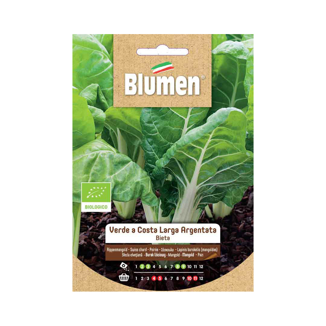 Bieta da costa - Sementi Bio – BIA Home & Garden
